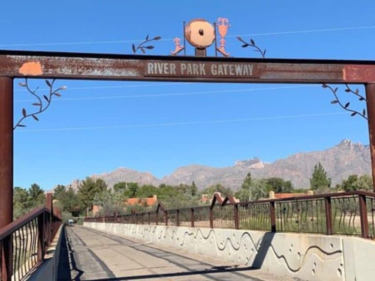 Discover the Best Rail Trails: A State-by-State Guide ...