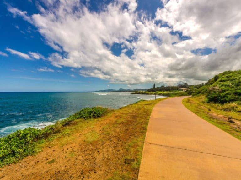 Discover the Best Rail Trails: A State-by-State Guide ...