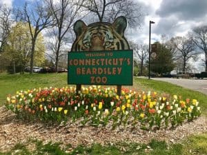 Animal Adventures: Discovering the Best Zoos in Every U.S. State ...