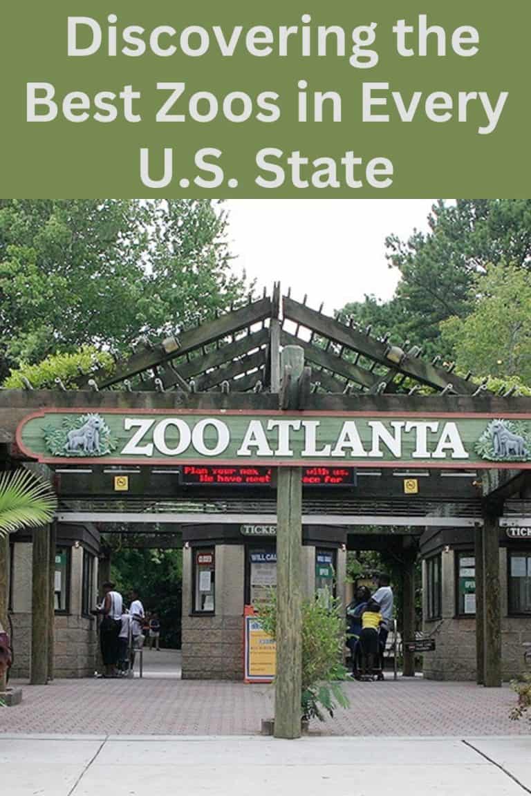 Animal Adventures: Discovering the Best Zoos in Every U.S. State ...