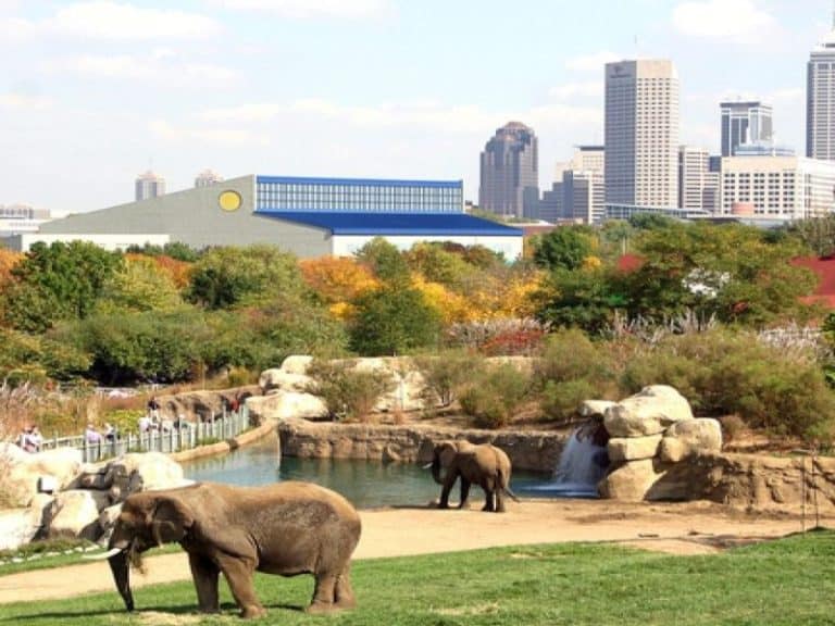 Animal Adventures: Discovering the Best Zoos in Every U.S. State ...
