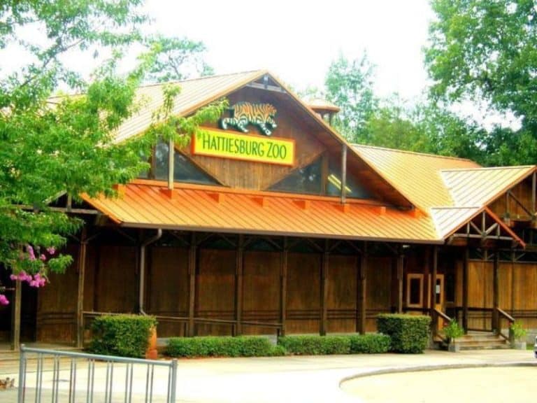 Animal Adventures: Discovering the Best Zoos in Every U.S. State ...